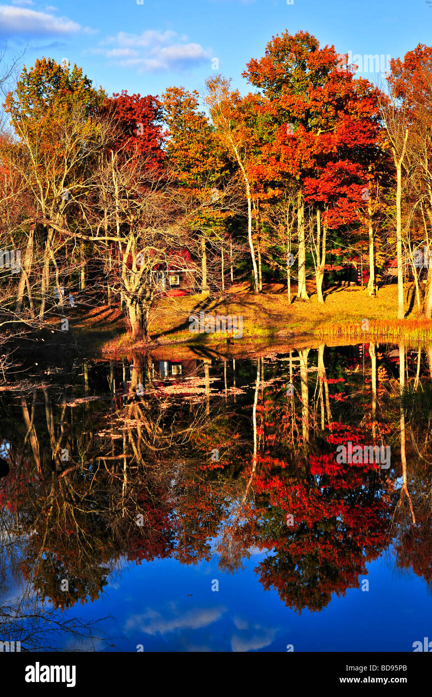 Lake reflecting fall trees hi-res stock photography and images - Alamy