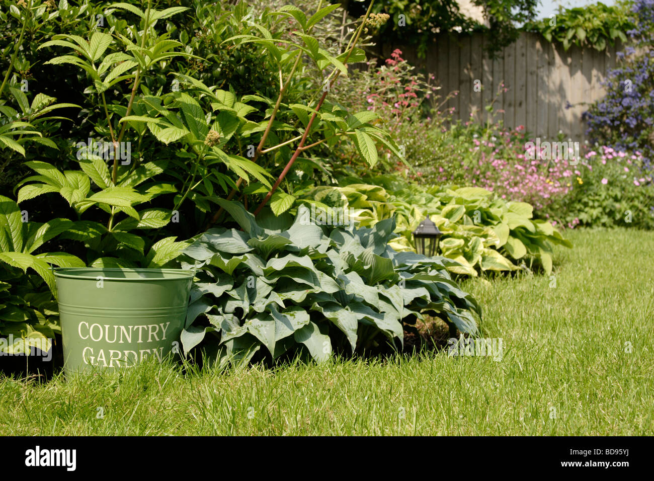 Bucket in garden , England UK Stock Photo - Alamy