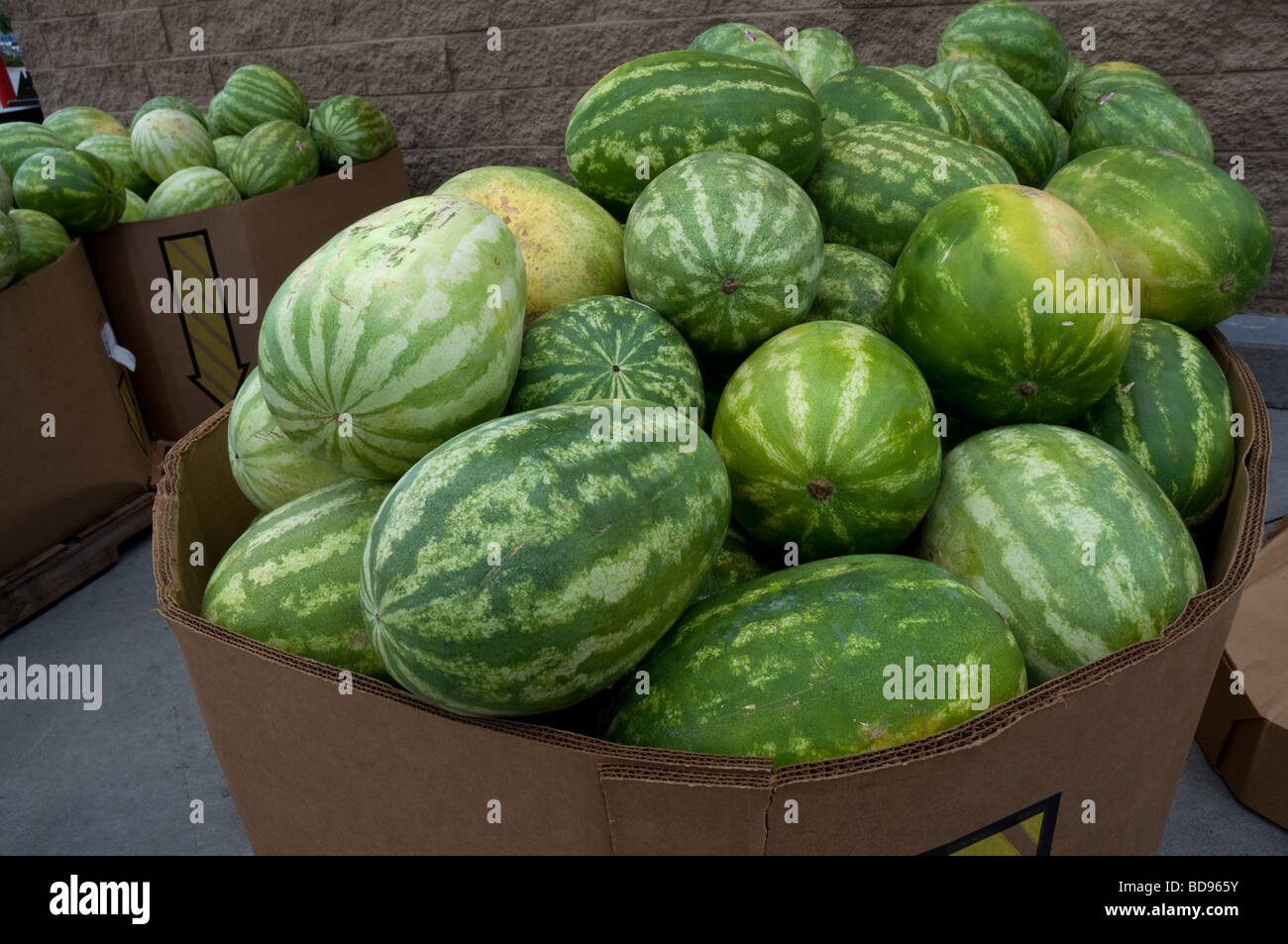 Watermelons in box sale hi-res stock photography and images - Alamy