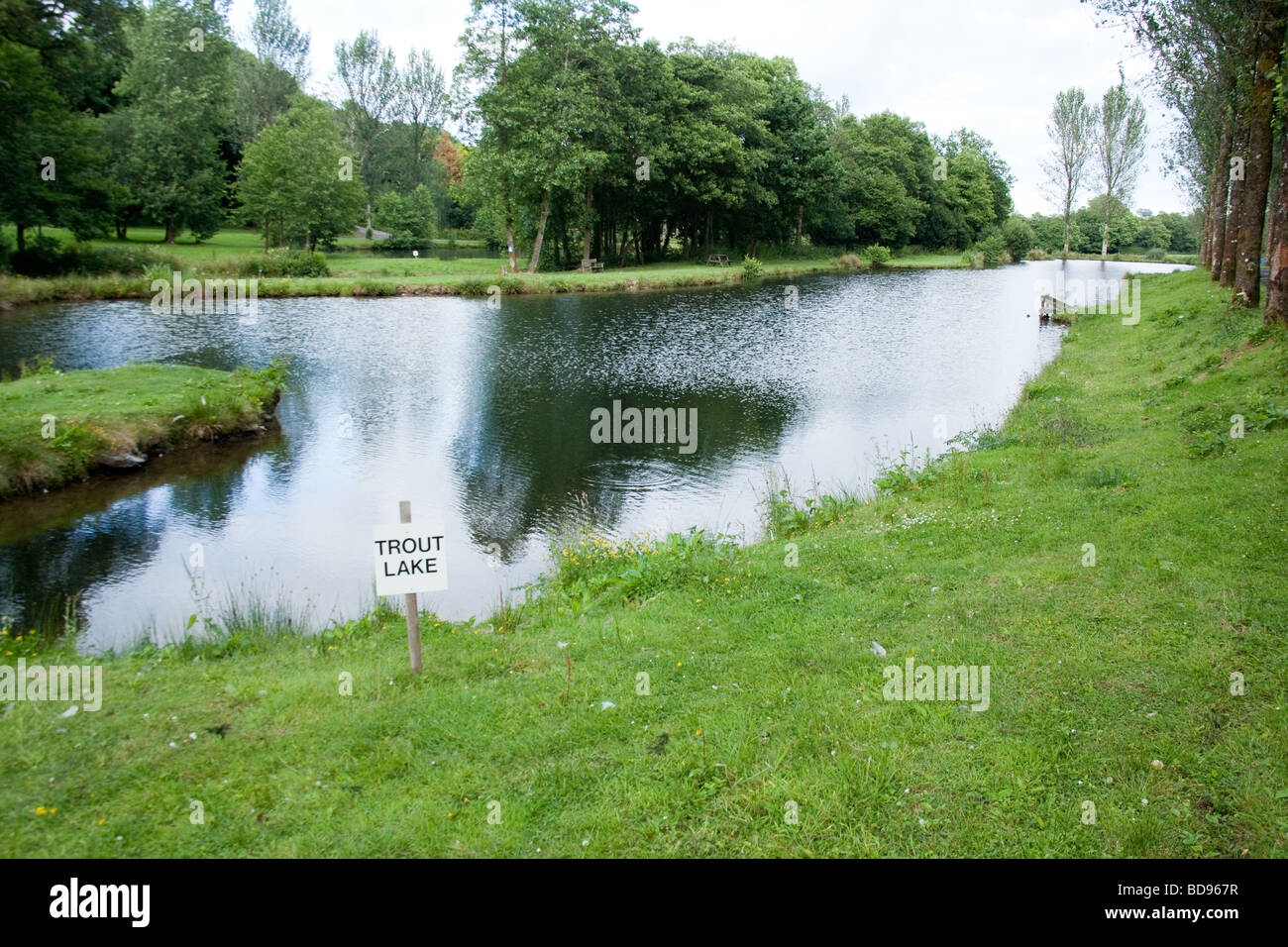 Trout Fishing Devon at Donald Blanton blog