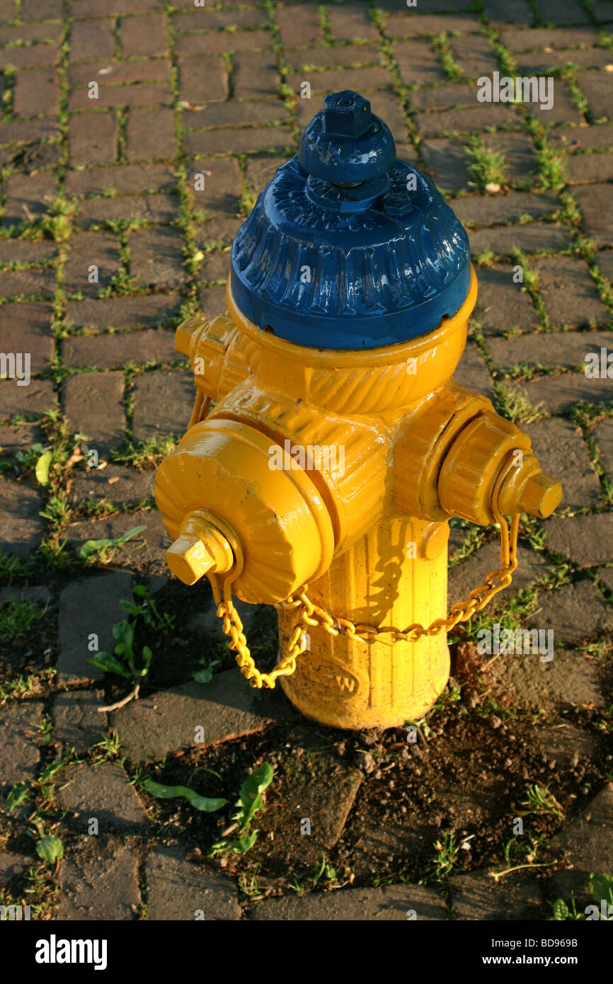 Yellow and blue fire hydrant Stock Photo - Alamy