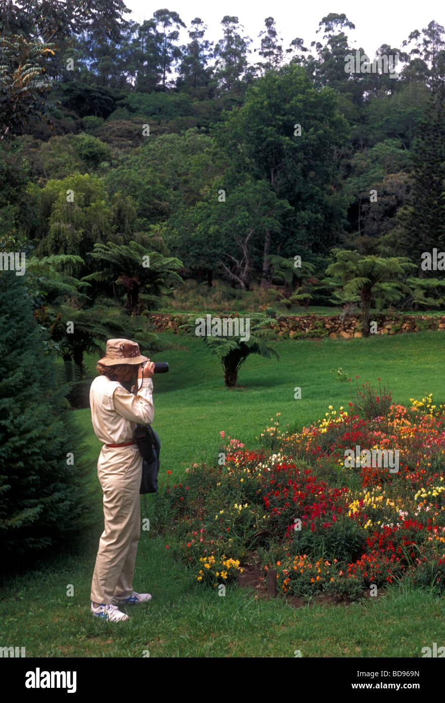 tourist, woman, Vumba Botanical Gardens, Vumba Botanic Gardens ...