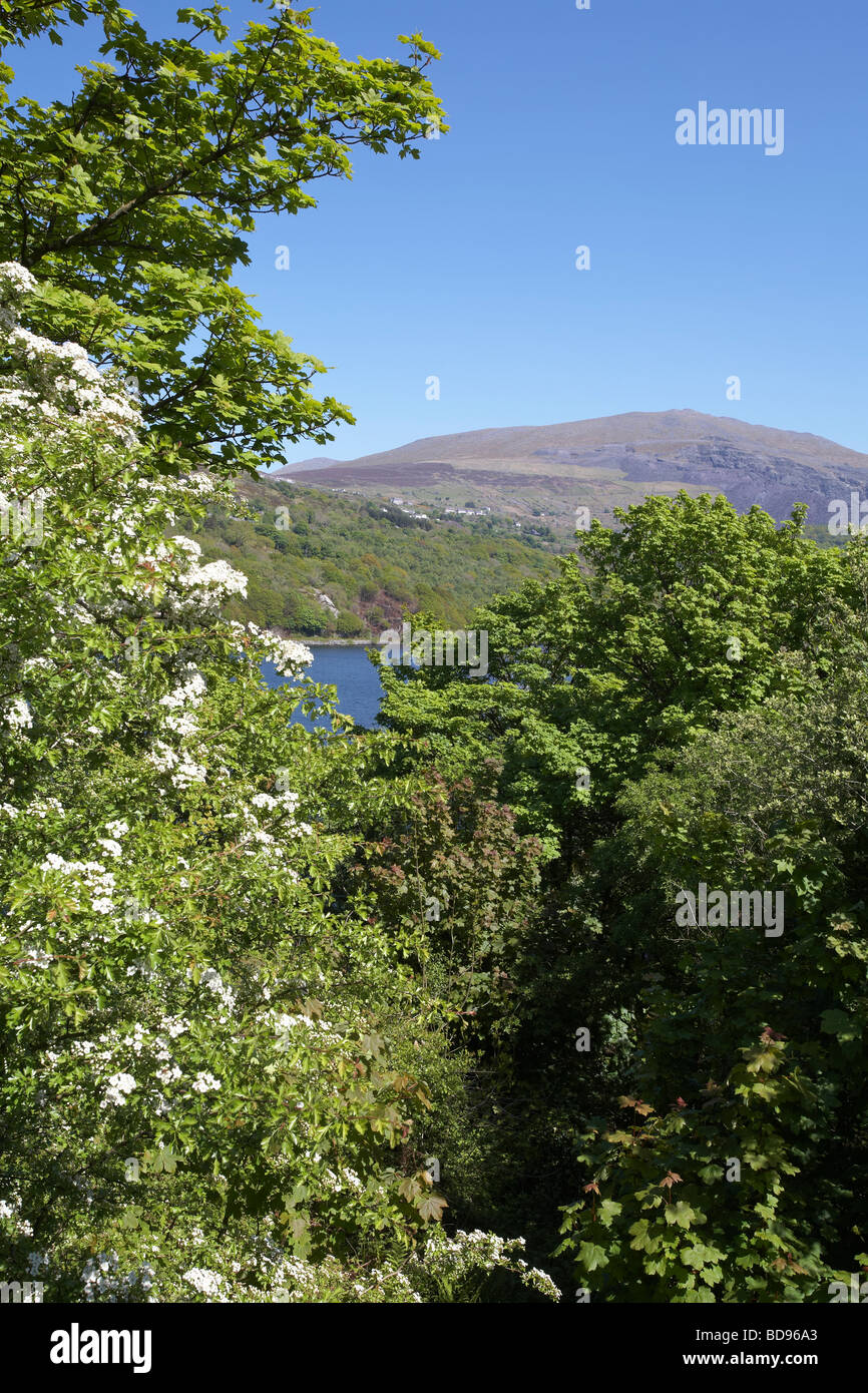 Padarn lake hi-res stock photography and images - Alamy