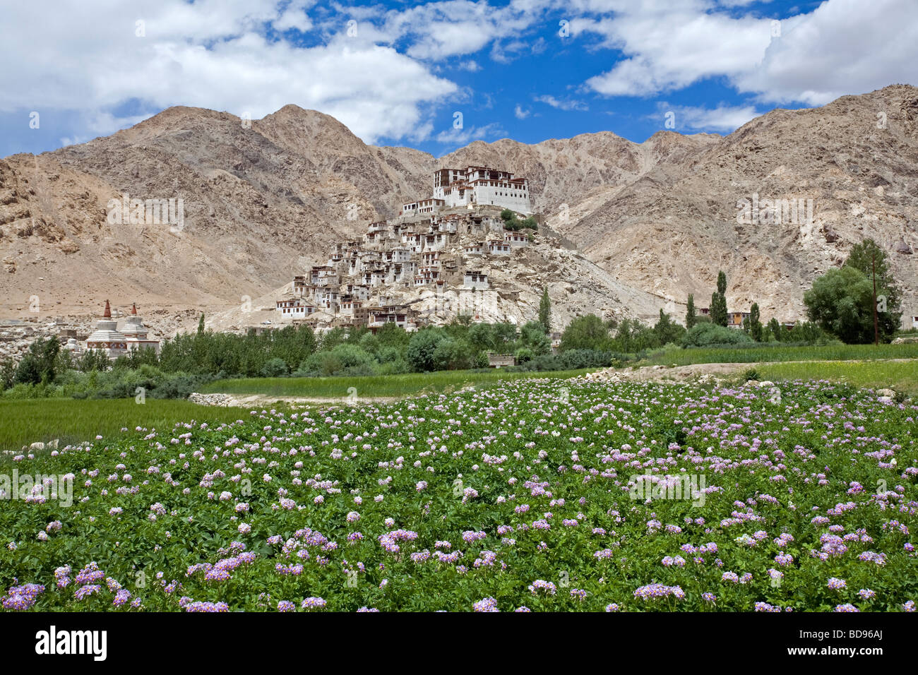 Chemrey Buddhist monastery. Ladakh. India Stock Photo - Alamy