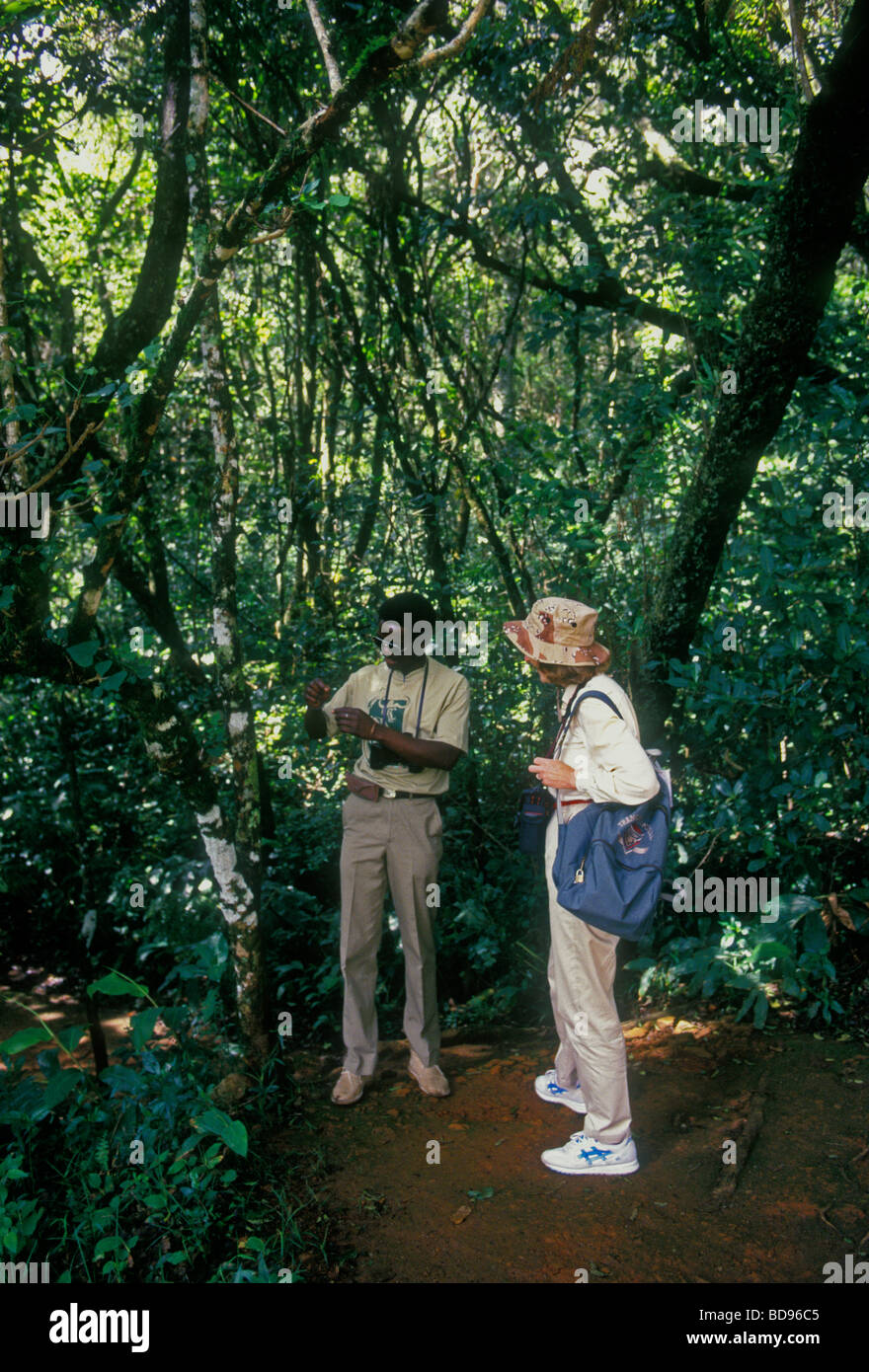 tourist, guide, guided tour, Vumba Botanical Gardens, Vumba Botanic ...