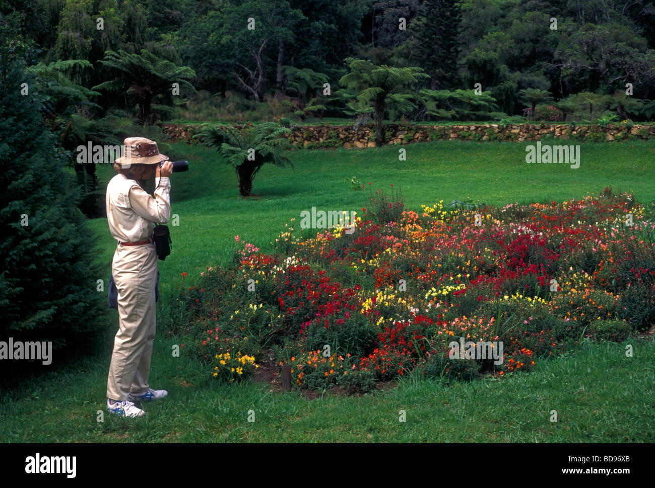 tourist, woman, Vumba Botanical Gardens, Vumba Botanic Gardens ...