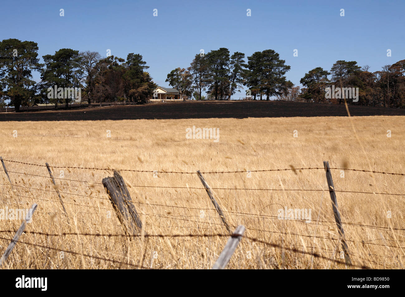 australian bush fire damage,australian bush fire aftermath,post ...