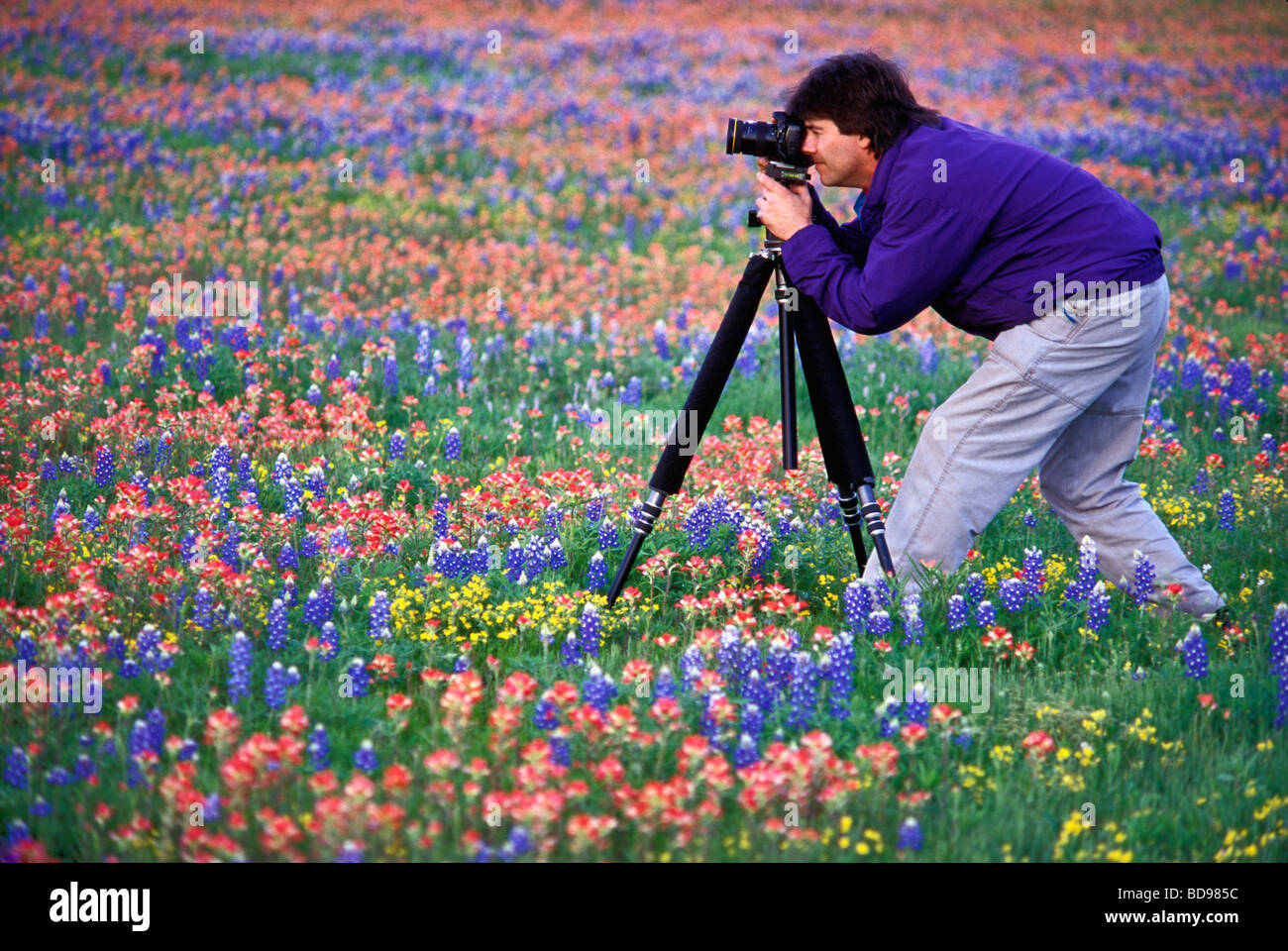 Photographer Looking Through Viewfinder of Camera on Tripod in the Hill ...