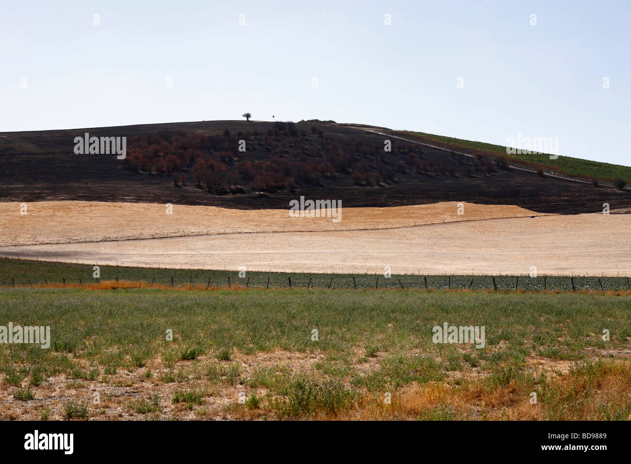 australian bush fire damage,australian bush fire aftermath,post ...