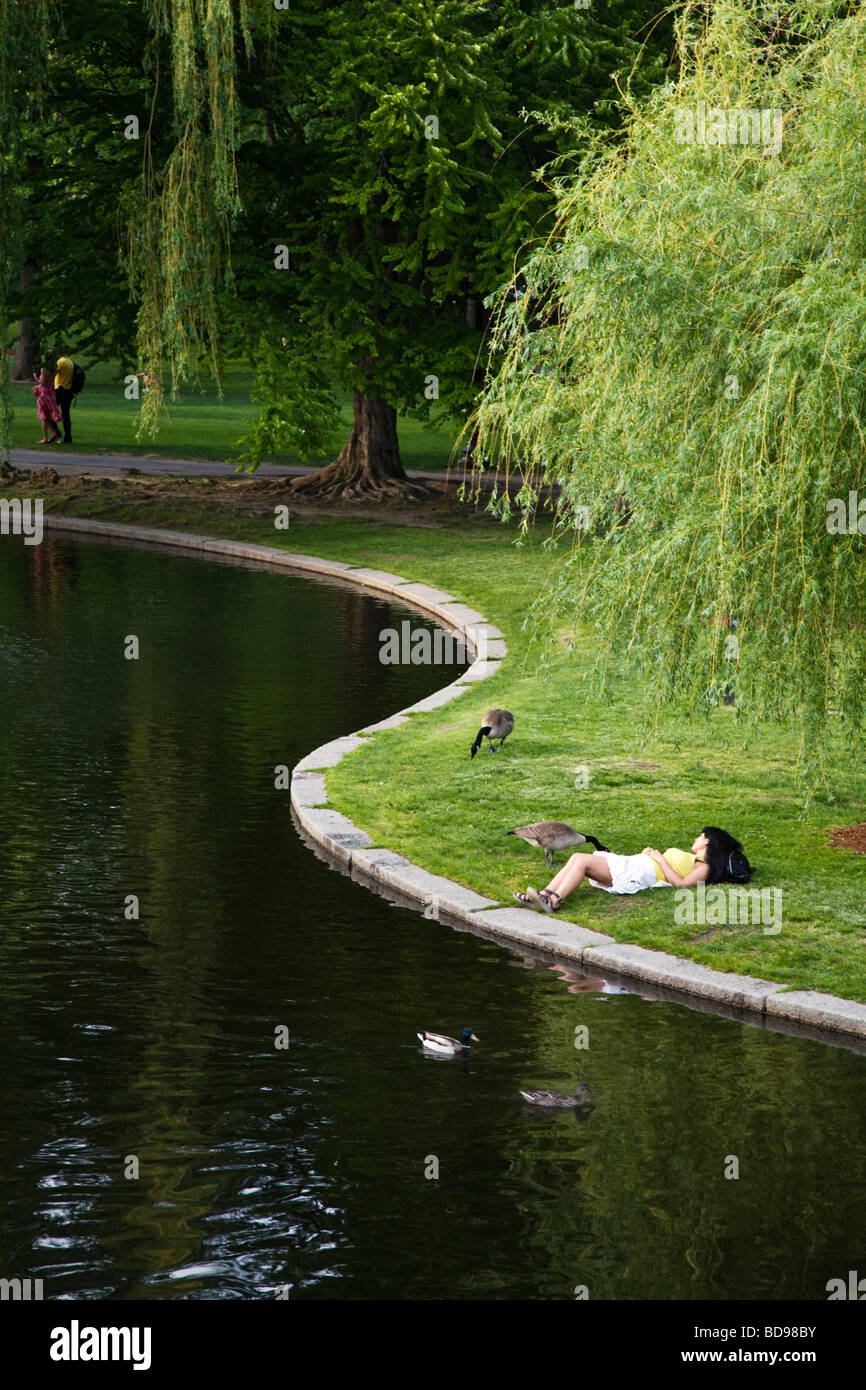 Boston common lagoon hi-res stock photography and images - Alamy