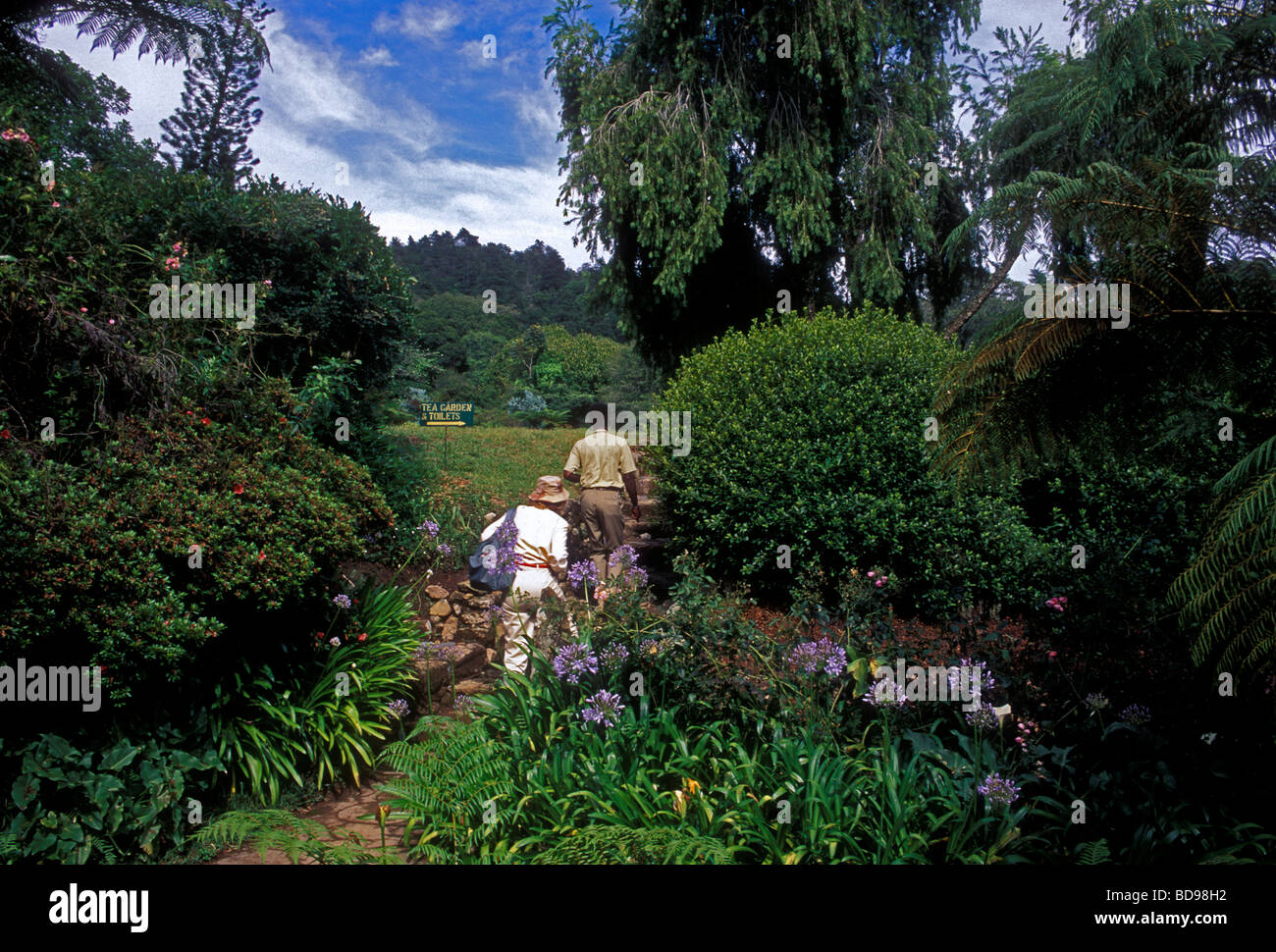 tourist, guide, guided tour, Vumba Botanical Gardens, Vumba Botanic ...