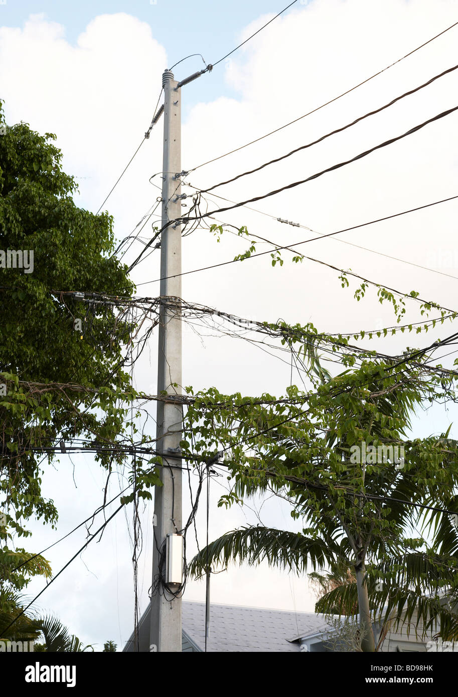overgrown electric pole Stock Photo - Alamy