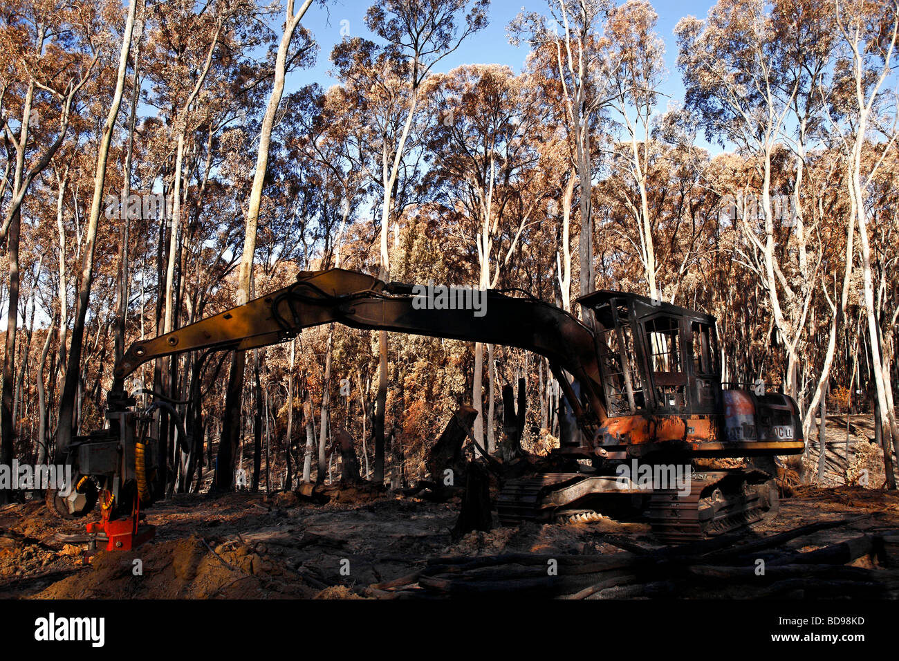australian bush fire damage,australian bush fire aftermath,post ...