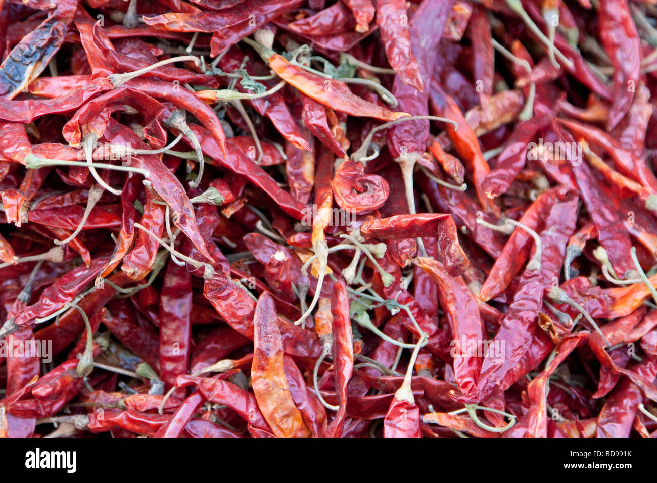 Nepal pepper hi-res stock photography and images - Alamy