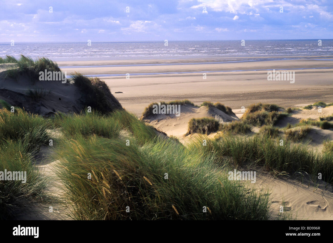 Formby Dunes Lancashire English coast sand sandy coastal scenery ...