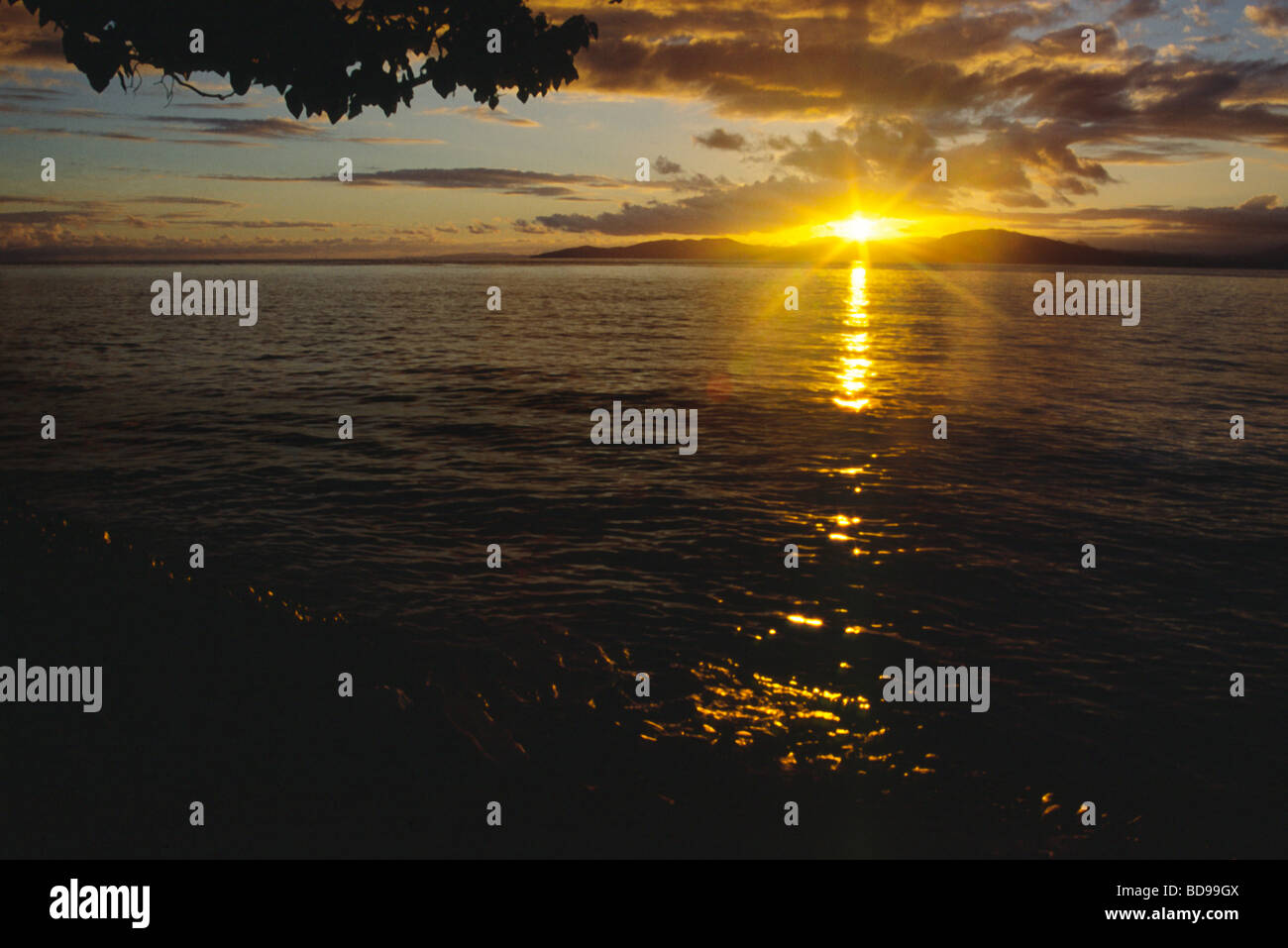 Somo hi-res stock photography and images - Alamy