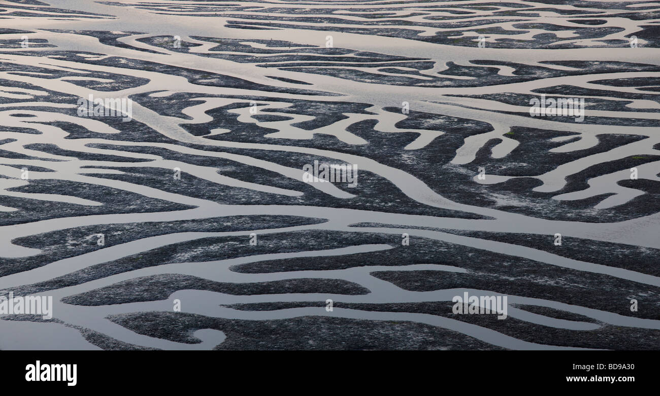 Home Bay at Low tide, view from a high point, Estero Trail, Point Reyes ...