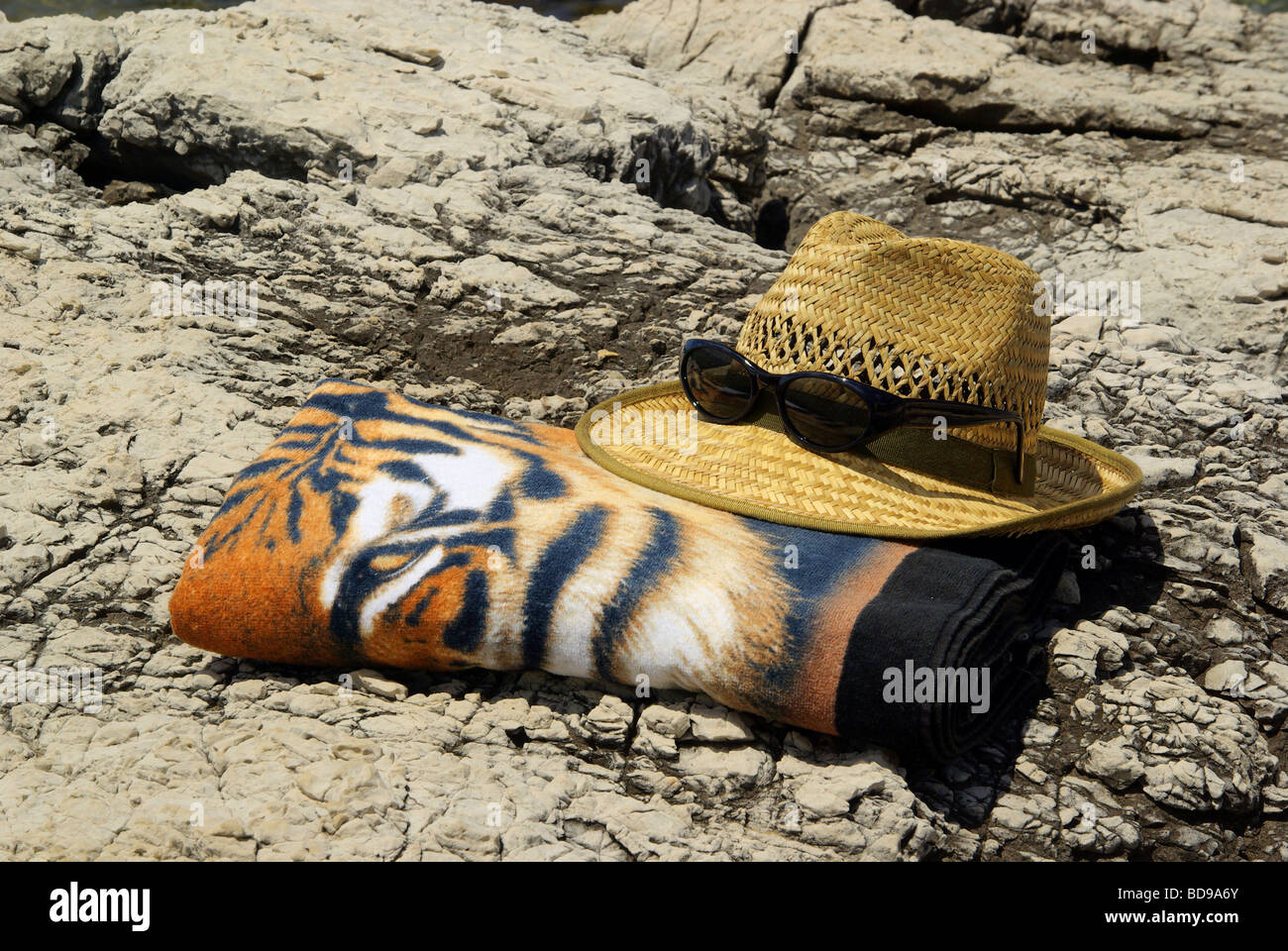 Hut am Strand hat at the beach 01 Stock Photo - Alamy