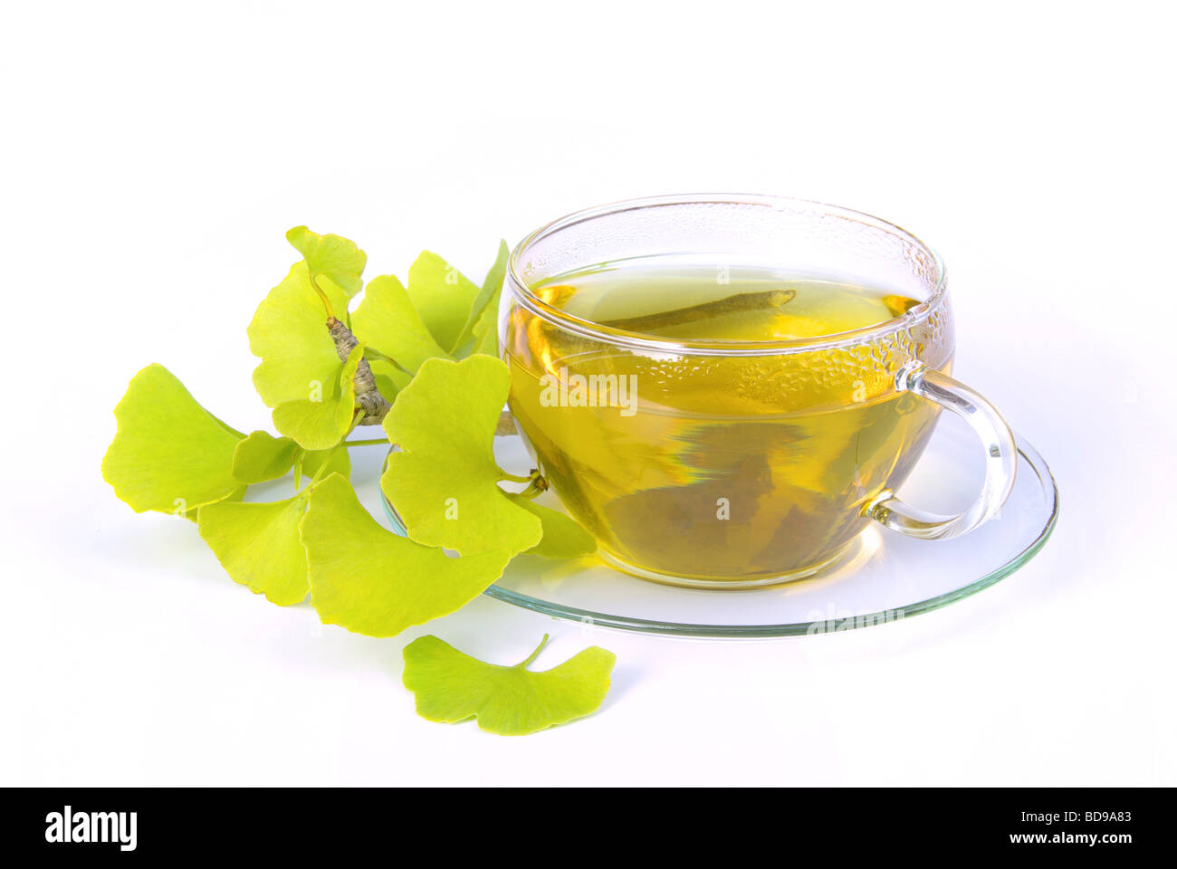 Tee Ginkgo tea ginkgo 06 Stock Photo - Alamy