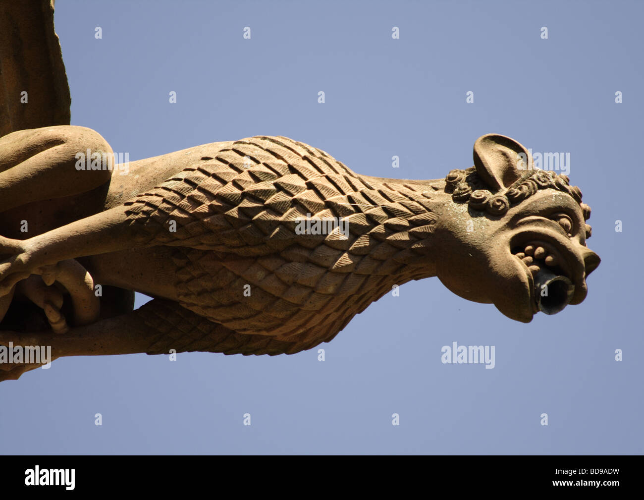 Gargoyle on Freiburg Cathedral Stock Photo - Alamy