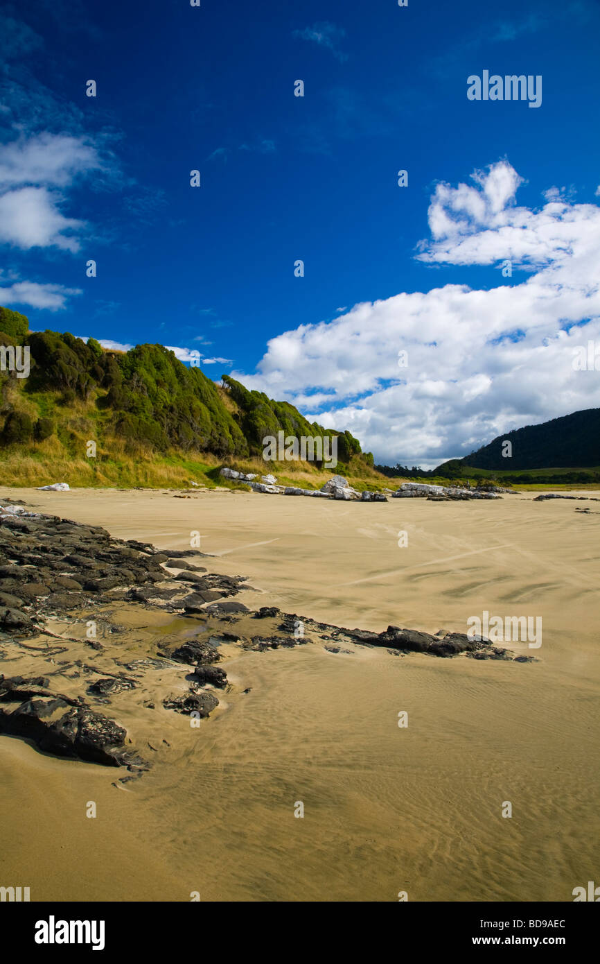 Catlins beach native bush bay hi-res stock photography and images - Alamy