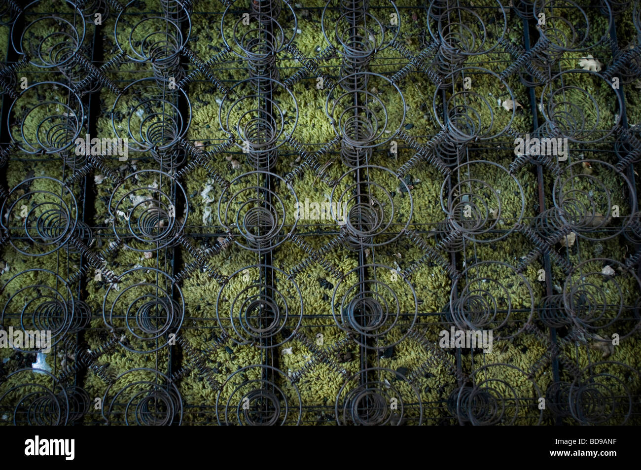 Bed Spring Wallpaper Stock Photo - Alamy