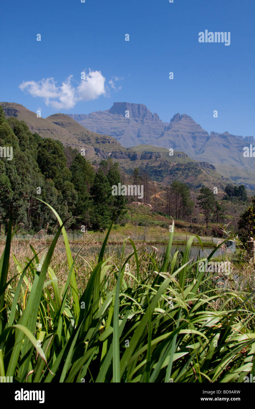 View on to the Drakensberg mountains from the Champagne Castle resort ...