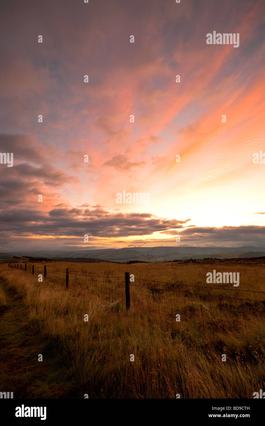 Pym chair hi-res stock photography and images - Alamy