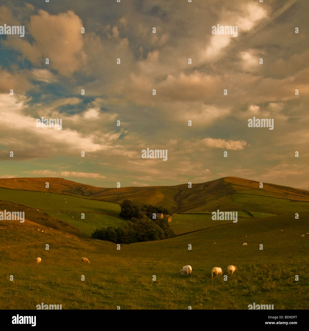 Pastures and moorland hi-res stock photography and images - Alamy
