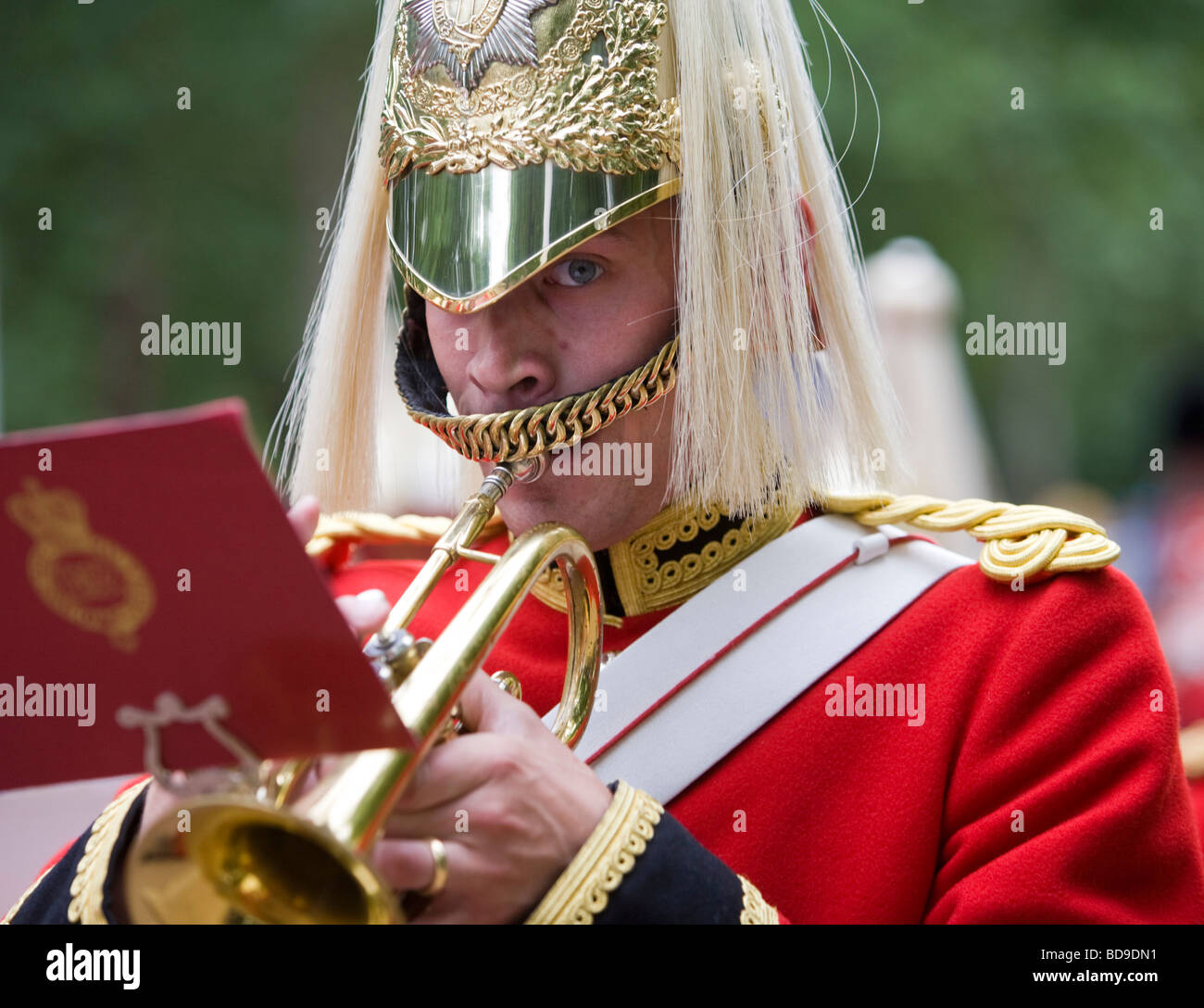 A musician from the Queen's Life Guard Band after Changing the Guard ...