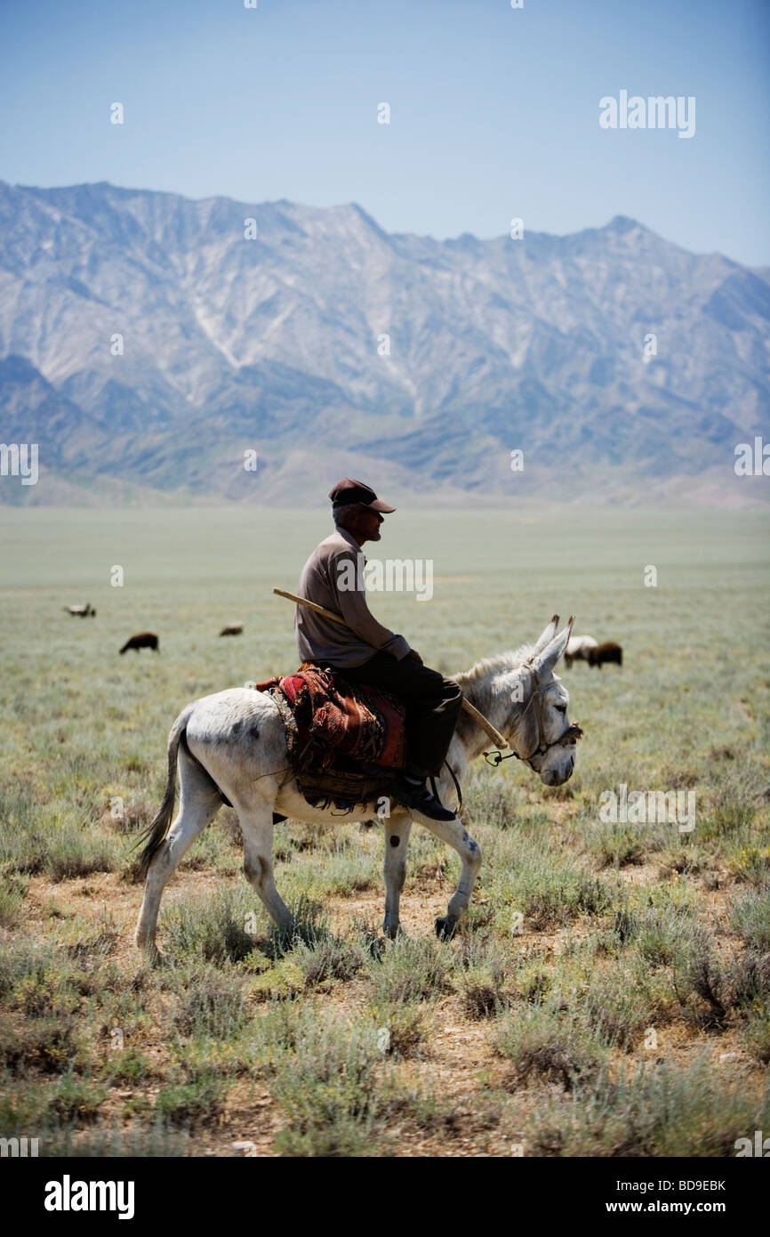 Man riding a donkey in the mountains of Uzbekistan Stock Photo - Alamy