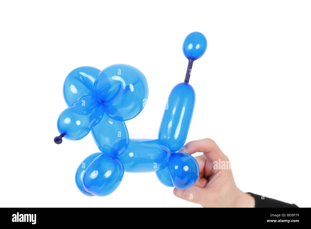 Balloon animal hi-res stock photography and images - Alamy