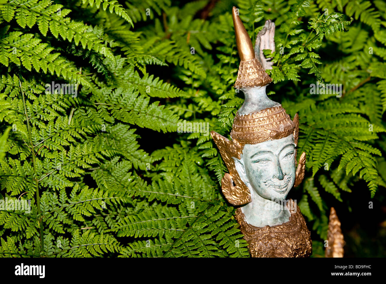 A Thai statue hiding in woodland ferns Stock Photo - Alamy