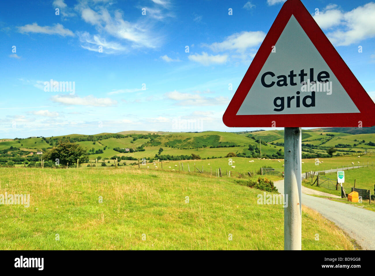 Road sign warning cattle grid hi-res stock photography and images - Alamy