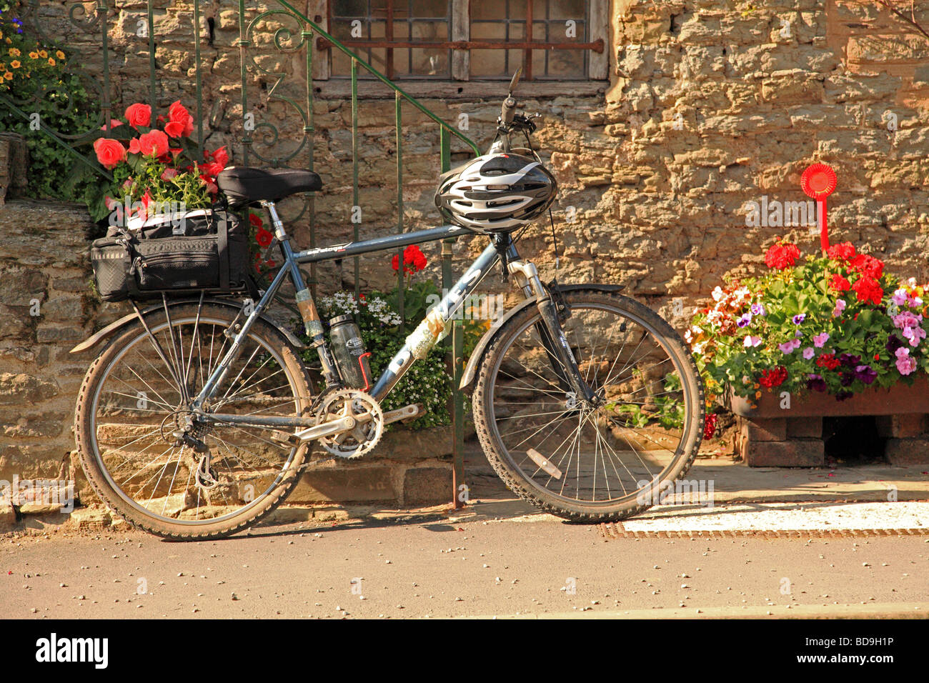 A mountain bike leaning against a stone wall with bright red flowers in ...