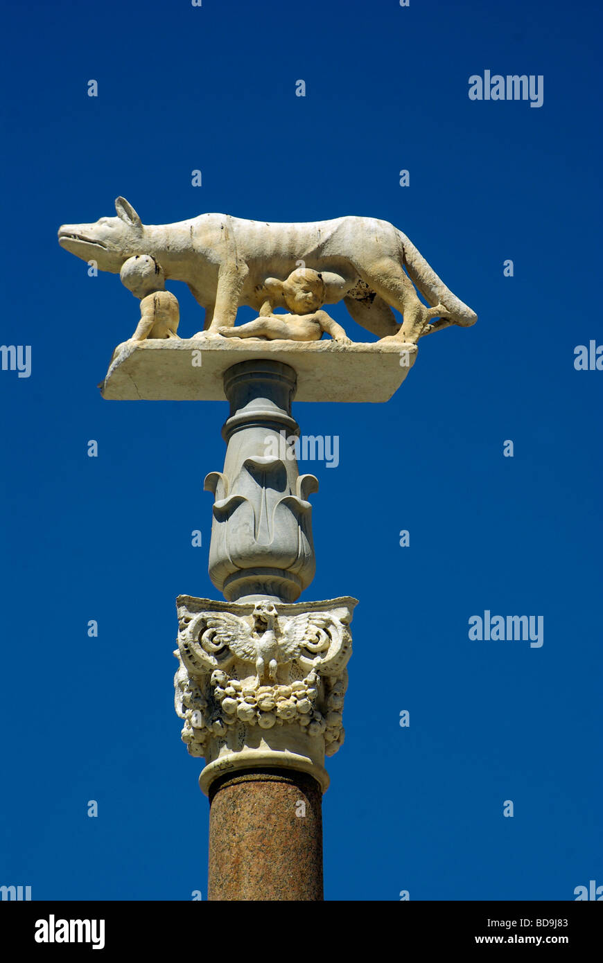 The she-wolf symbol of Siena on a pedestal on the steps of the Duomo in ...