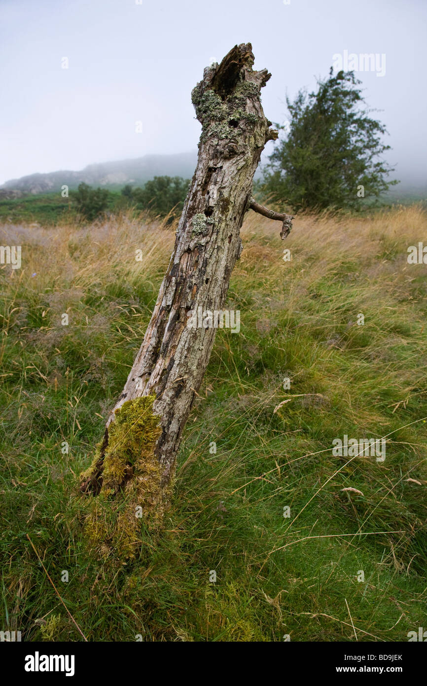 Welsh moors hi-res stock photography and images - Alamy