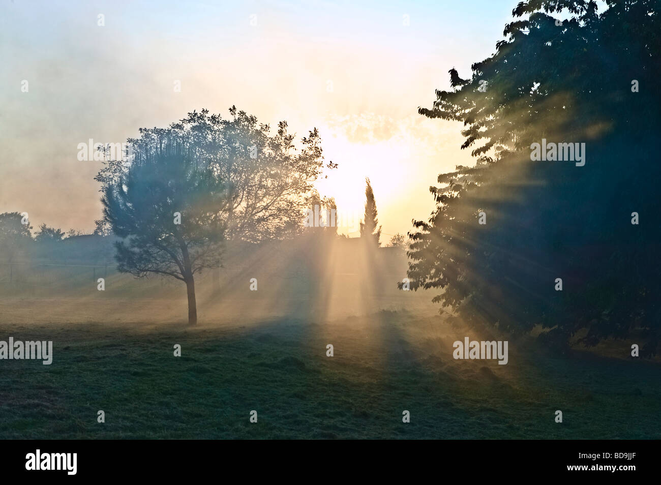 misty landscape in dramatic light Stock Photo - Alamy