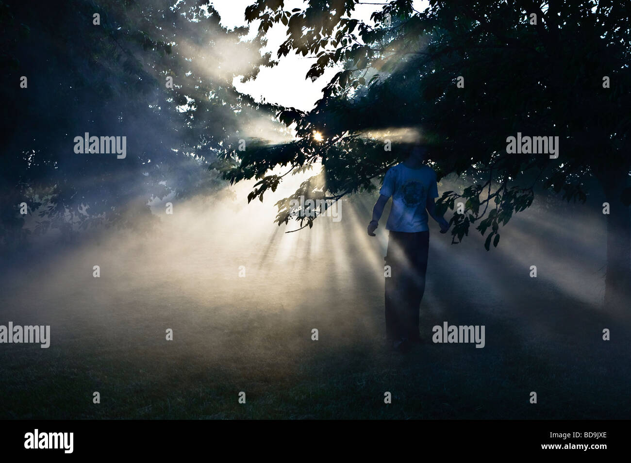Man hiding shadows hi-res stock photography and images - Alamy