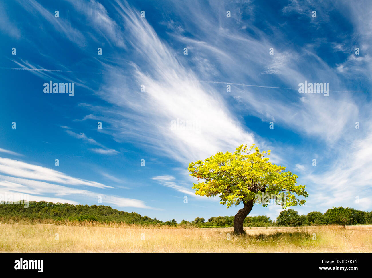 Farewell france hi-res stock photography and images - Alamy