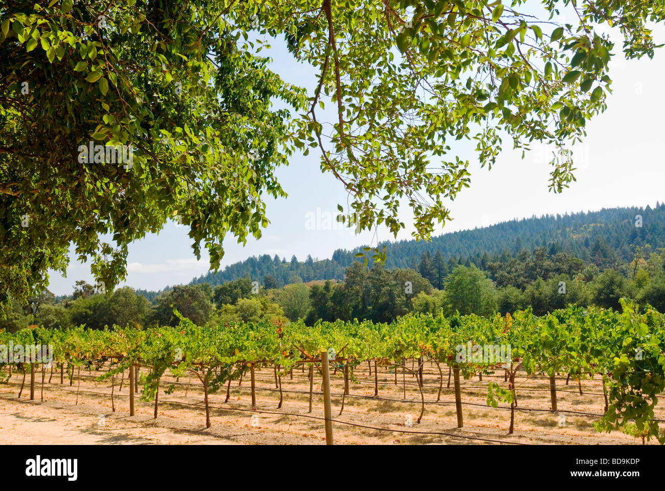 Patrick batchelder Stock Photos & Images from Alamy