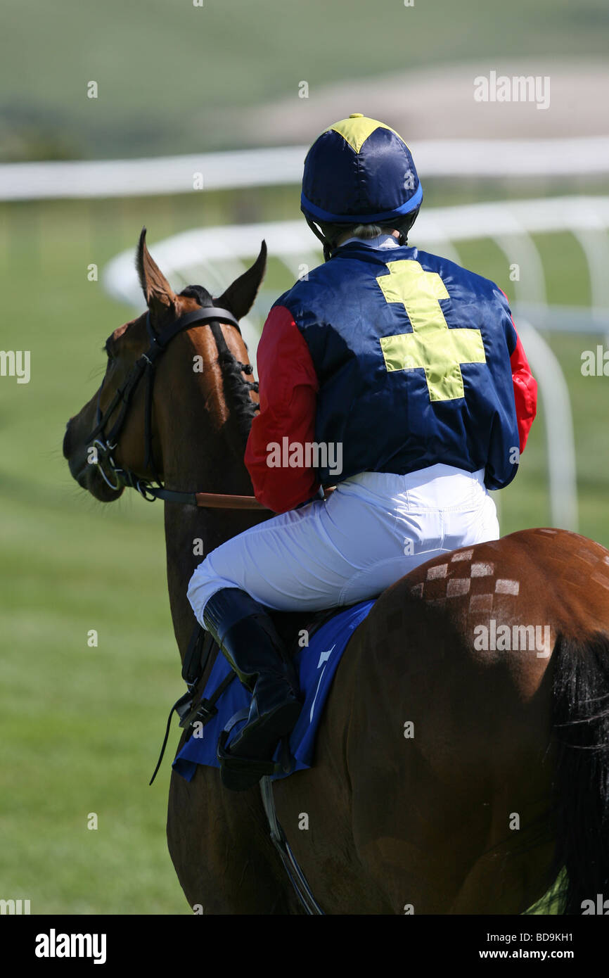 A Jockey and Horse make their way to the start before a Horse Race ...