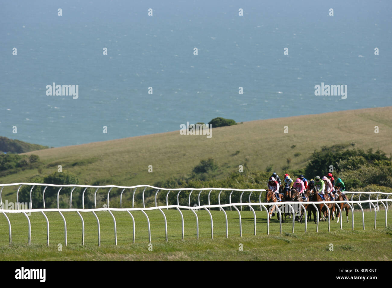 Brighton horse racing hi-res stock photography and images - Alamy