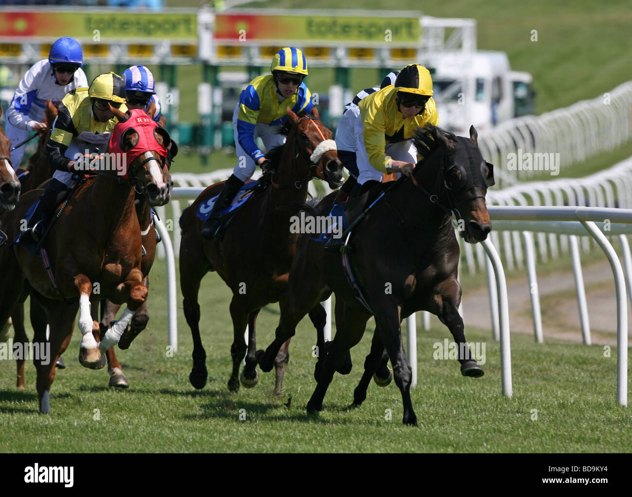 Horses during race hi-res stock photography and images - Alamy