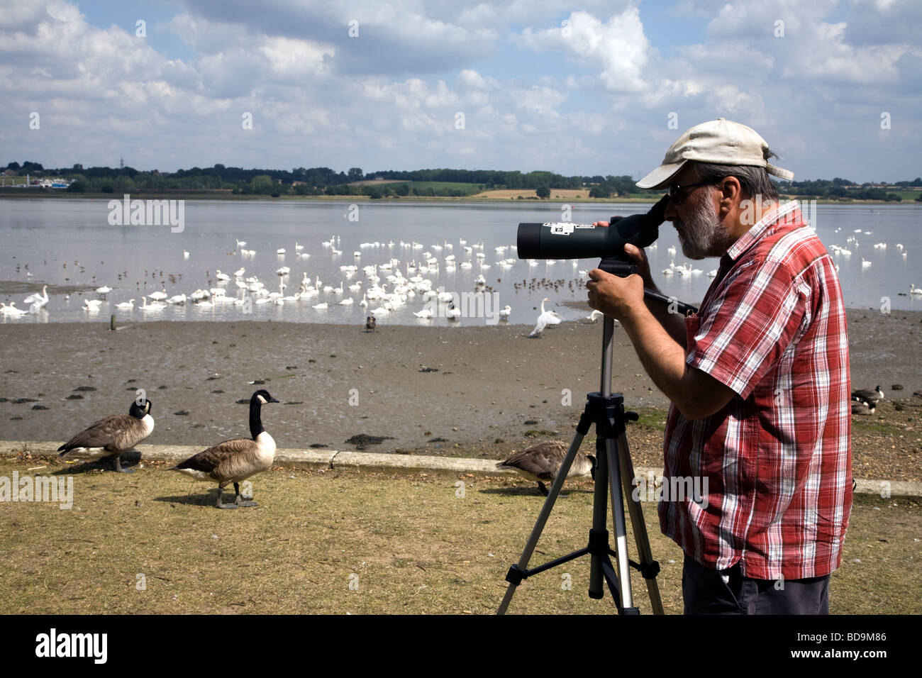 A MIDDLE AGED MAN BIRDWATCHING AT THE River Stour MANINGTREE , BRITAINS ...
