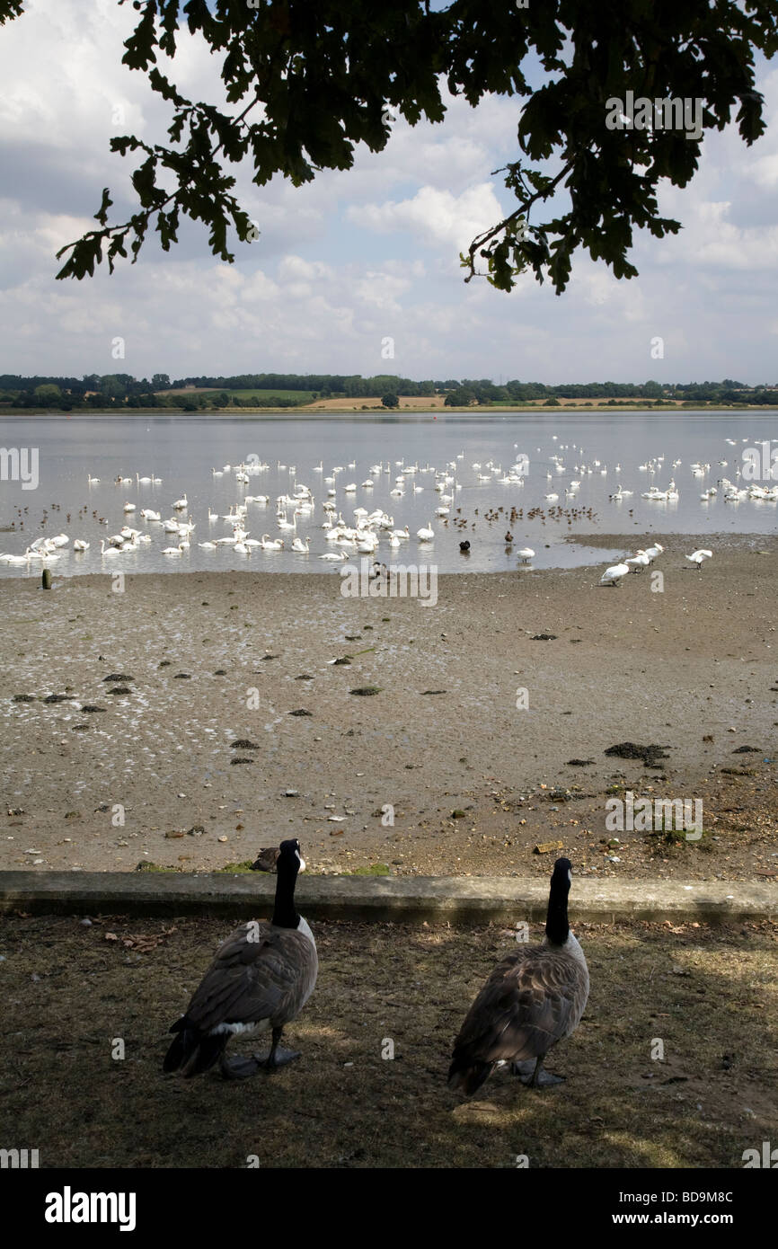 Out of the river hi-res stock photography and images - Alamy