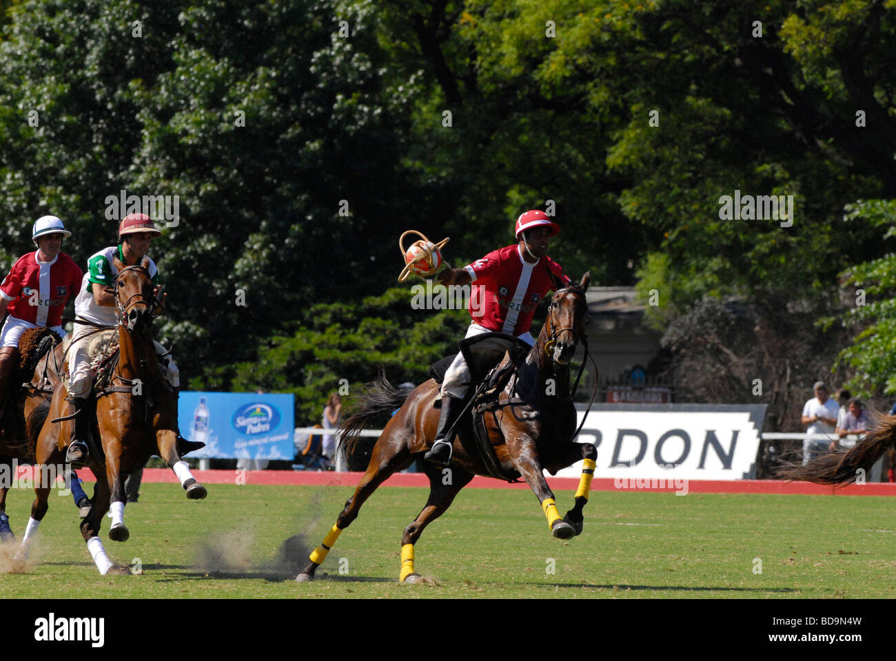 Pato Game Match in Buenos Aires, Argentina. Pato, also known as ...