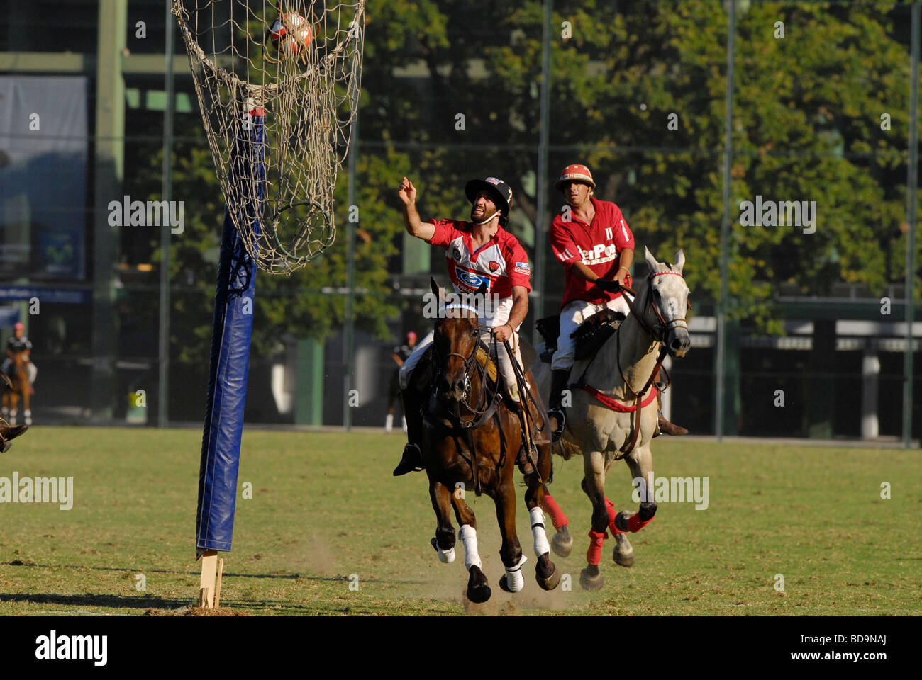 Pato Game Match in Buenos Aires, Argentina. Pato, also known as ...