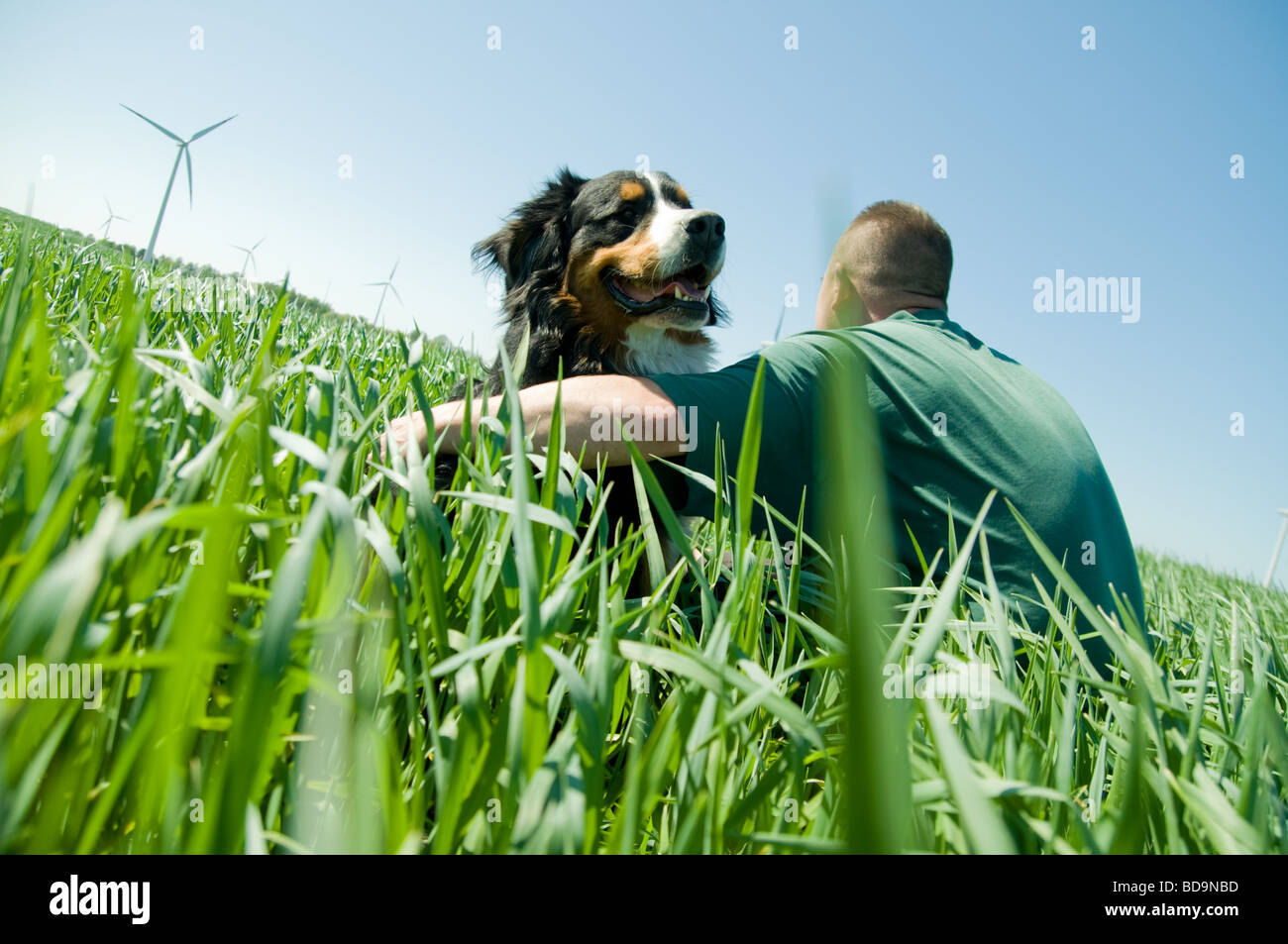 Man with happy dog Stock Photo - Alamy