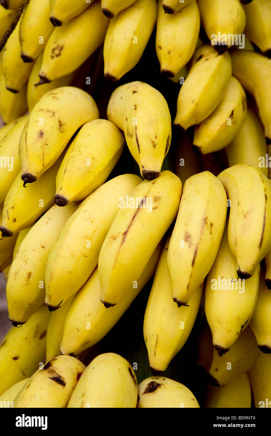 Bananaclose Up in Chinatown Market Singapore Stock Photo - Alamy
